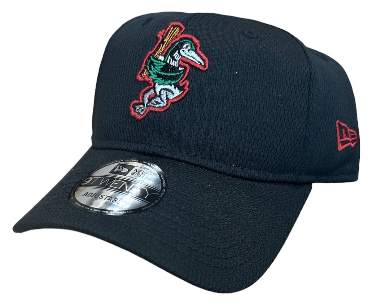 Great Lakes Loons New Era 9TWENTY Adjustable BP Cap – Great Lakes Loons ...